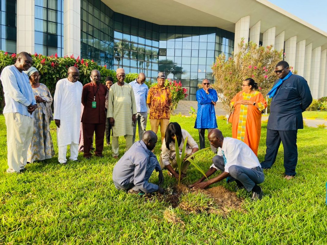 KairaCLO Plants Trees to Honor the Legacy of Former President Sir Dawda ...