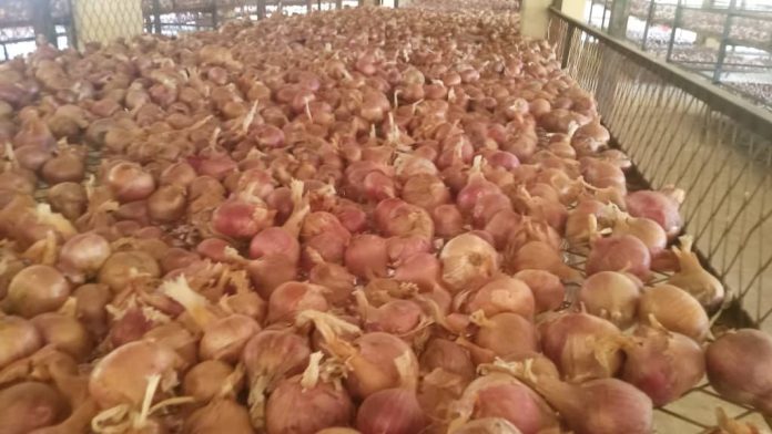 UNIDO Unveils Gambia's First Standard Onion Storage Facilities to Empower Local Farmers - The ...