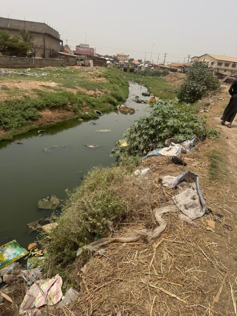 Unauthorized Dumping Plagues Bakoteh Stream, Threatening Health and ...