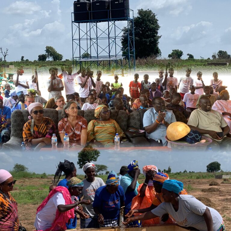 EU-Funded ActionAid Project Hands Over Transformative Toroba Garden to Boost Sustainable Farming ...
