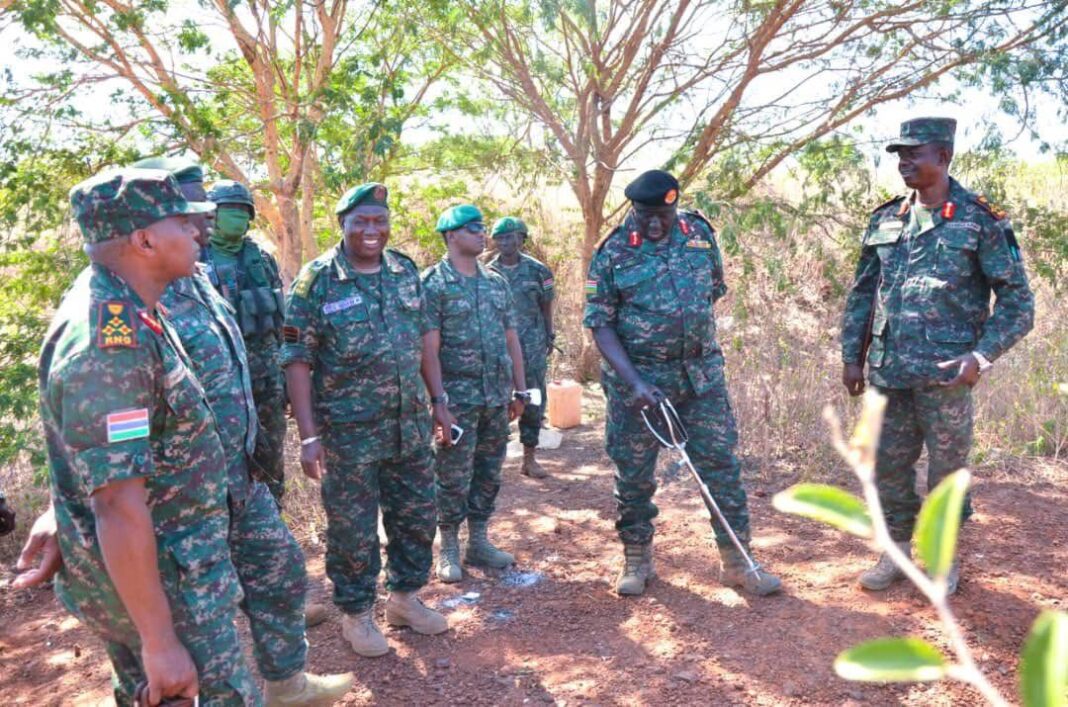 Creeping Militarization Threatens Gambia's Security Harmony, Warns ...
